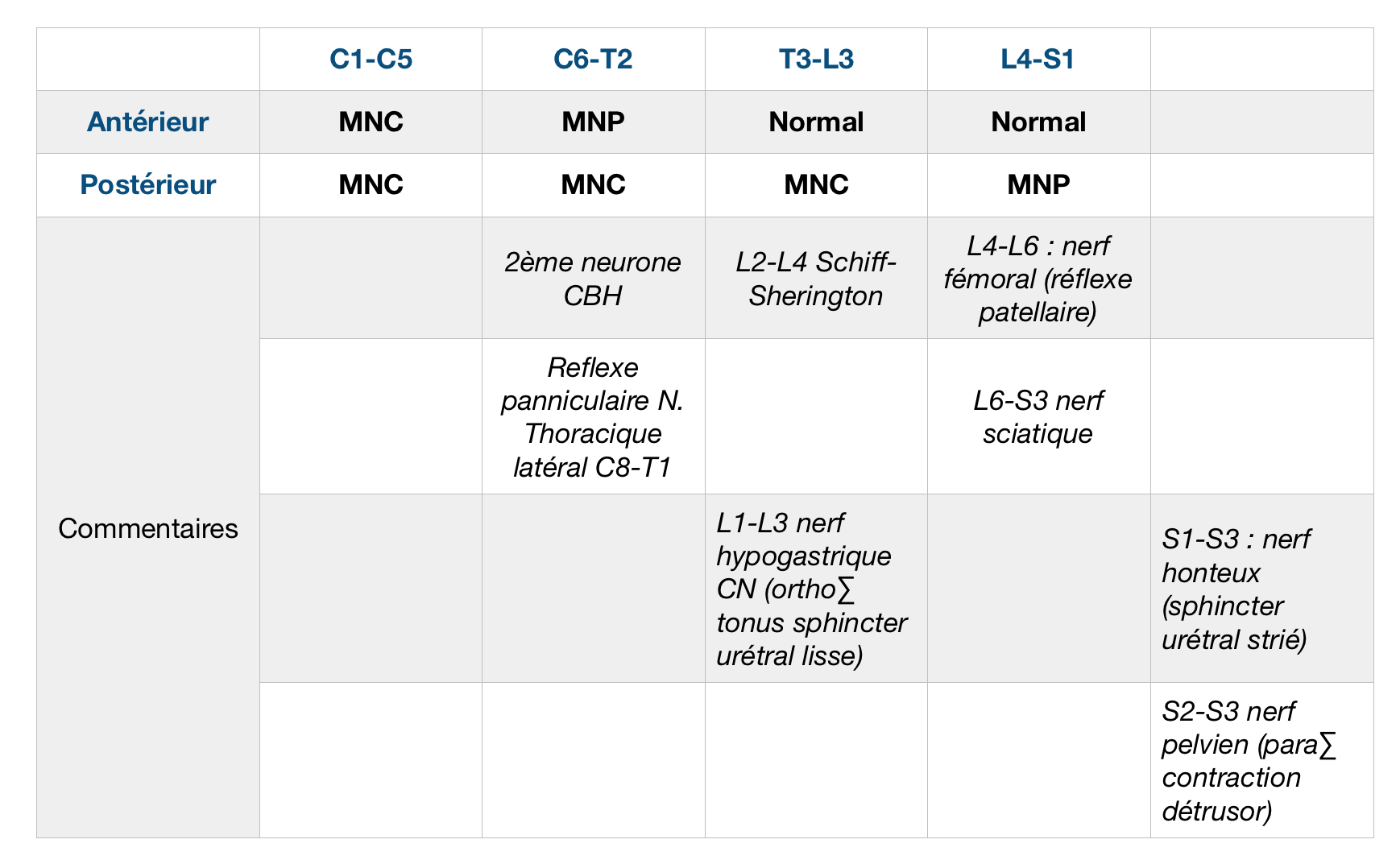 Colonne vertébrale et lésions – Vet4Care